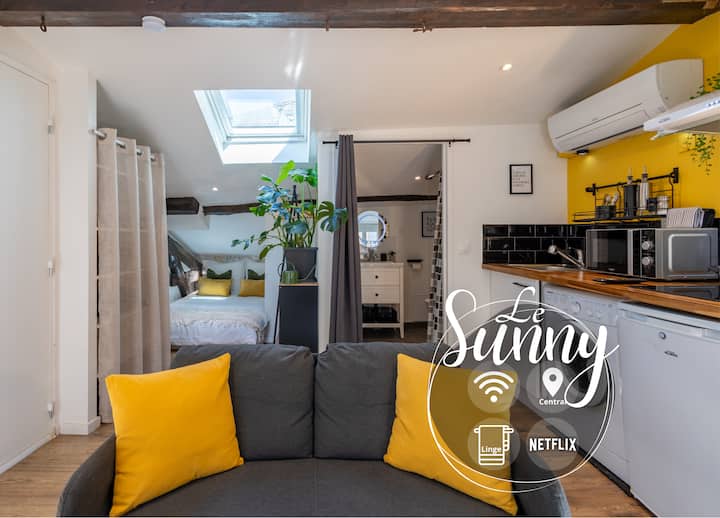 Le Sunny | Cocon Lumineux Au Cœur De Castres - Castres