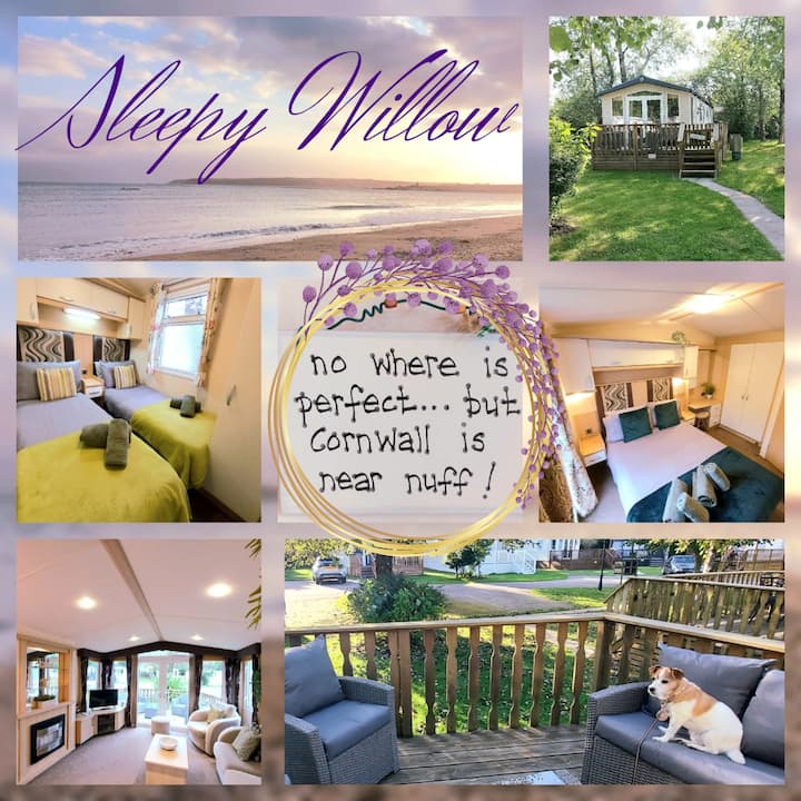 Sleepy Willow - Your Cornwallcation - Gwithian