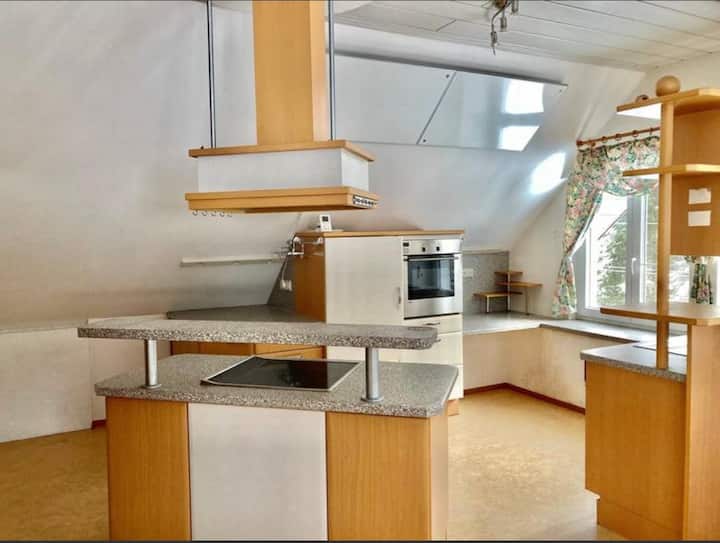 Delux Natural Large Apartment - Murau