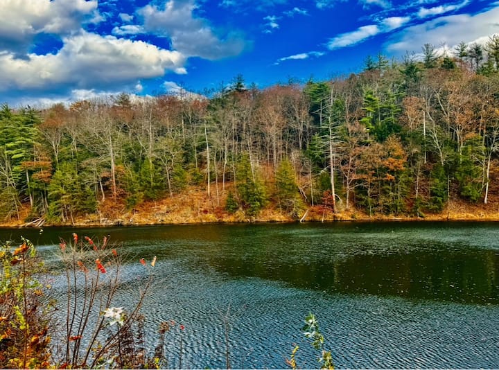 The Esopus Creek Charmer | Waterfront | 3 Bds - Saugerties, NY
