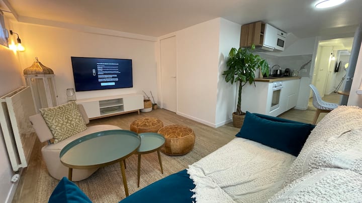 Rez De Jardin Aux Portes De Paris - Charenton-le-Pont