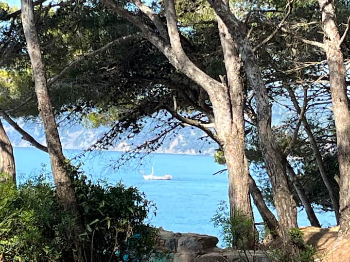 T2 Climatisé Plage Ste Asile - Saint-Mandrier-sur-Mer