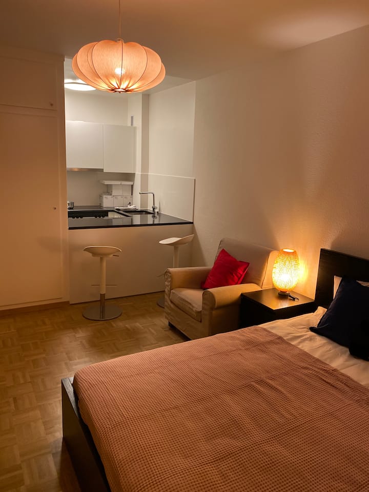 Studio Confort Près Du Lac - Genève