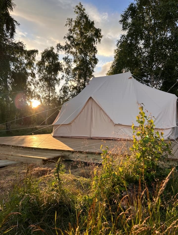 Glampingtält - Falkenberg