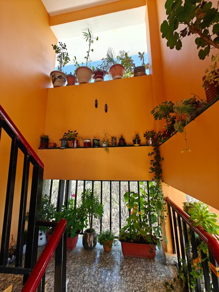 Paradise Escape Homestay - Manali