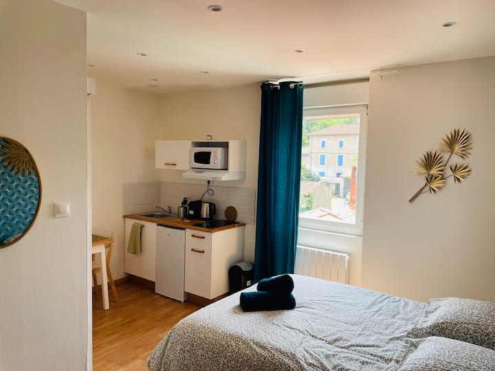 Studio Charles De Gaulle Iv L Calme L Côté Jardin - Castres