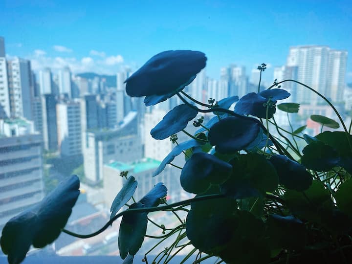 숨&쉼, Urban-nature, 하늘서재 - Séoul