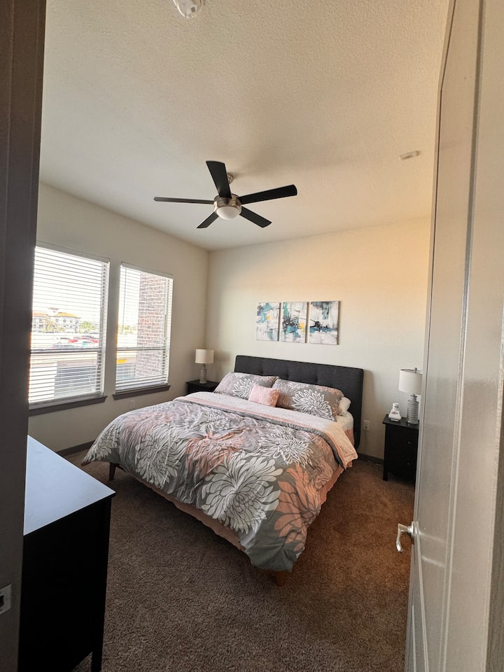1 Bedroom Apartment City Centre - Houston, TX