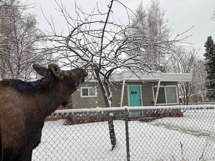 Valarian House - Anchorage, AK