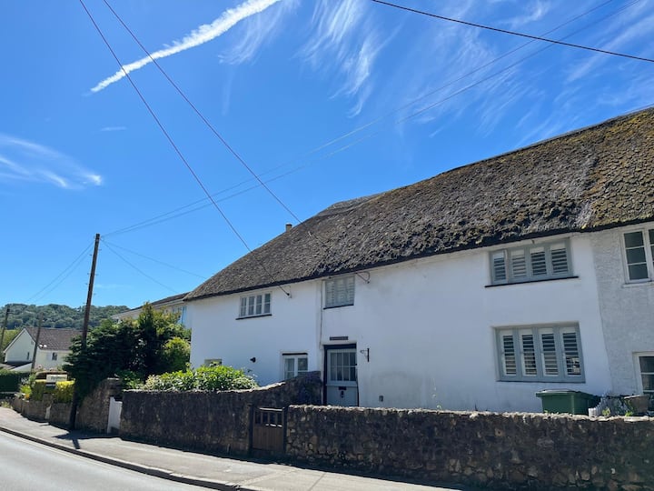 Kingfisher Cottage - Sidmouth