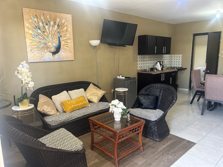 Céntrico Departamento Equipado / Tv /Wifi/ Estac - Tampico