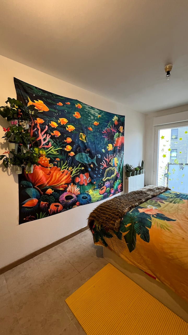 Habitación En Pamplona Para San Fermín - Navarra