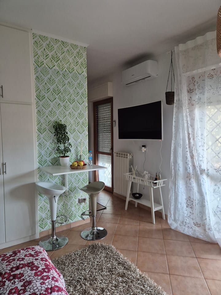 Appartamento Cozy Home Aeroporto Fco Roma - Fiumicino