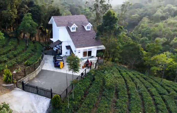 The Placid Rill - Kuttikkanam