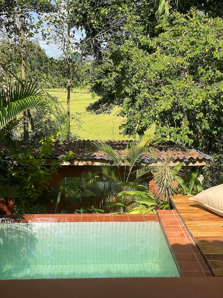 Jungle Paddy View Guesthouse “Rest & Digest” - Sri Lanka