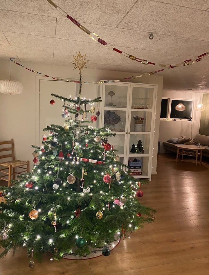 Skøn Villa I Høruphav - Danemark