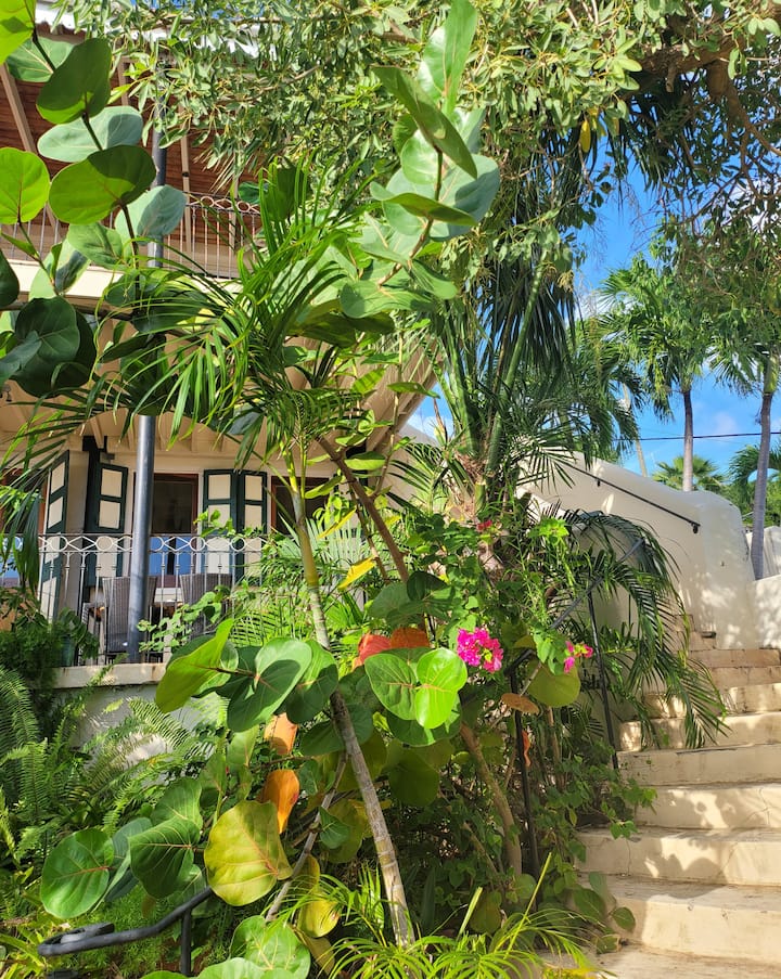 Save 1000/wk! Old World Estate W Concierge Service - セント・トマス島