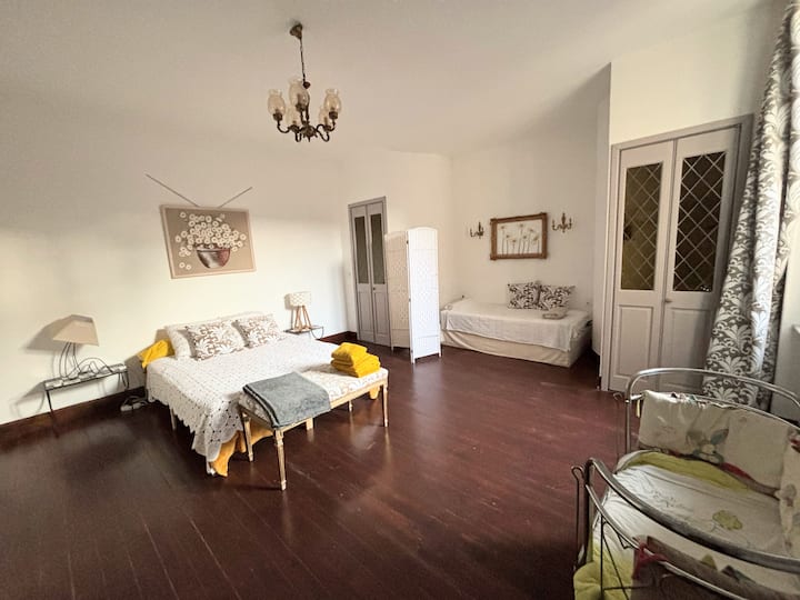 Chambre Triple Montsera Deliciosa - Lézignan-Corbières