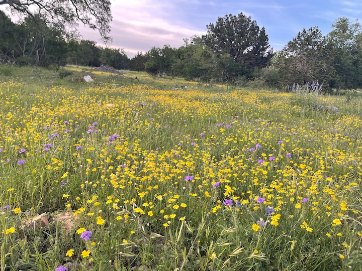 Tent Camping Site On A Farm With Goats And Ponies - San Marcos, TX