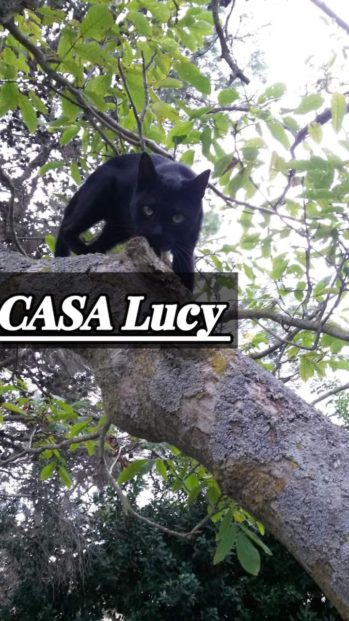 Casa Lucy - Pitigliano