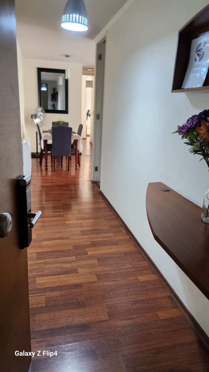 Departamento, Centro De Santiago - Independencia