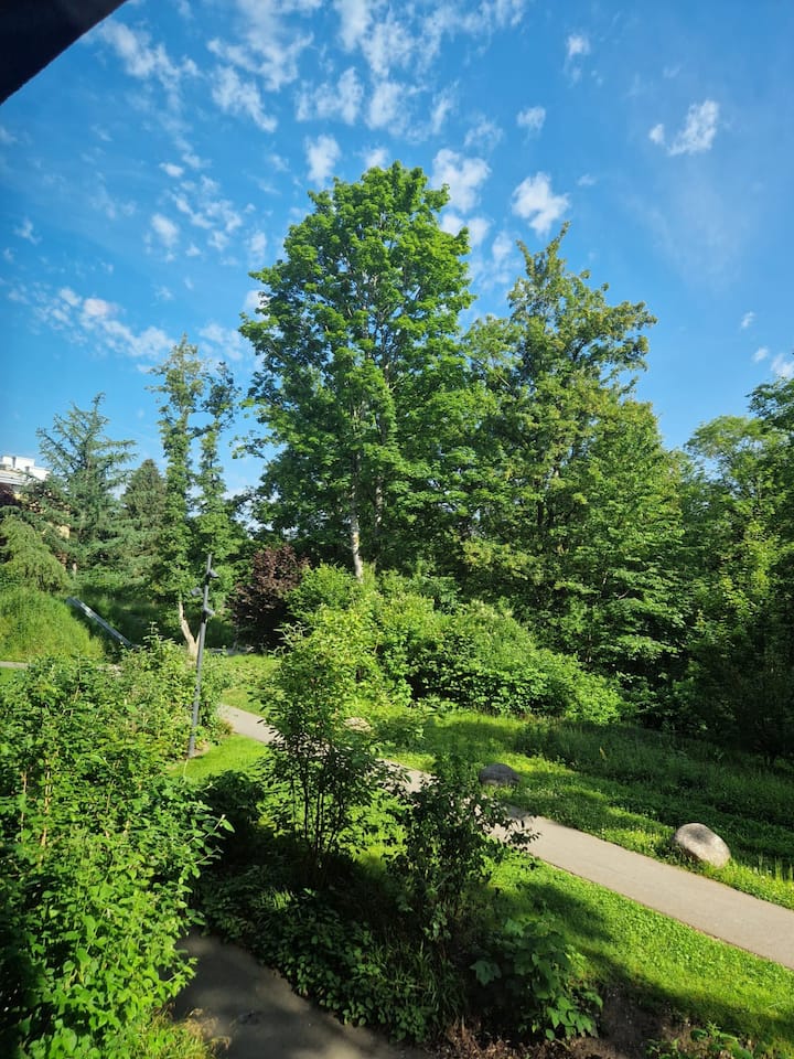 Wohnung Am Waldrand Zürichs - Zürich