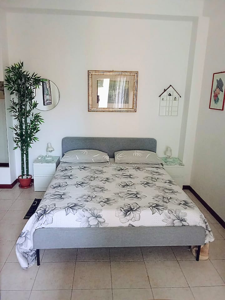 Tulipani House - Assago