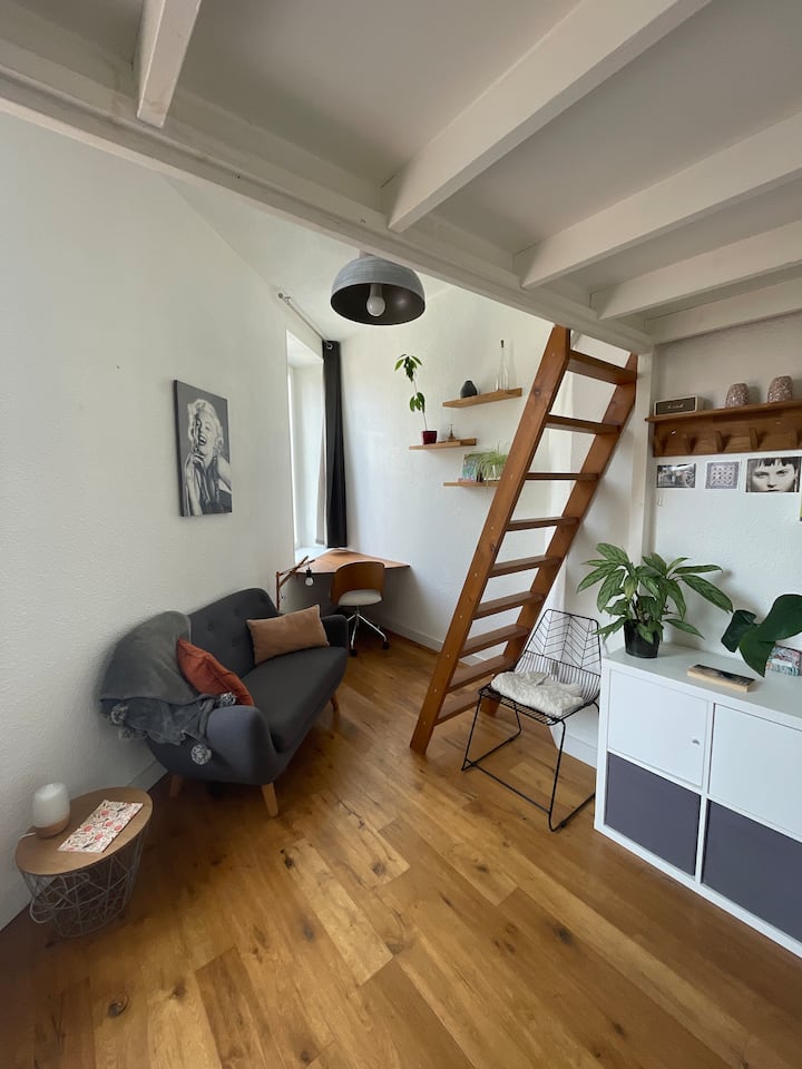 Petit Studio Mezzanine Chaleureux - Montpellier