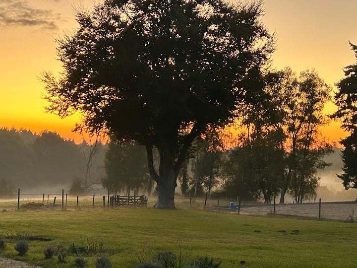 Candlewick Cottage Luxury Country Bungalow - Shere