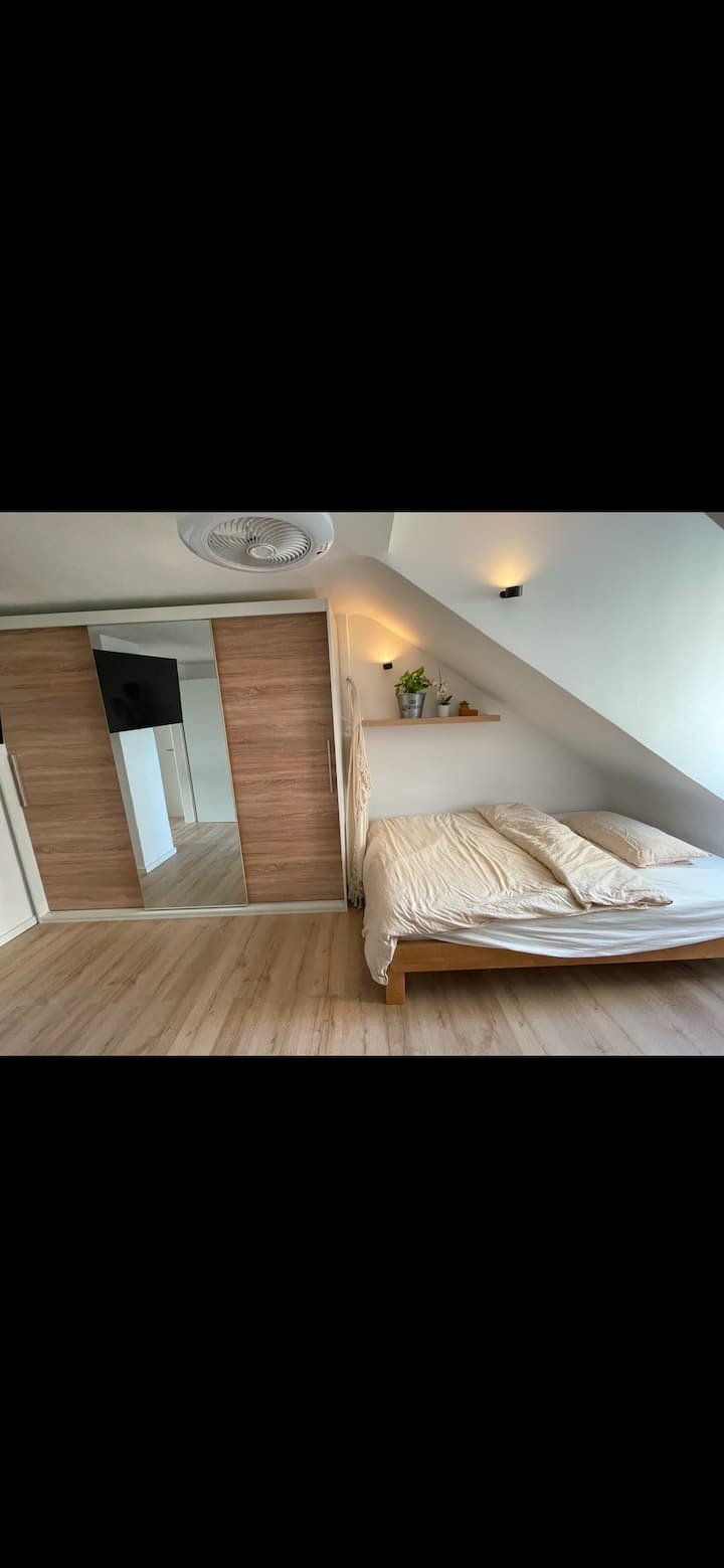 Ruhiges Zimmer In Schöner Lage - Mannheim