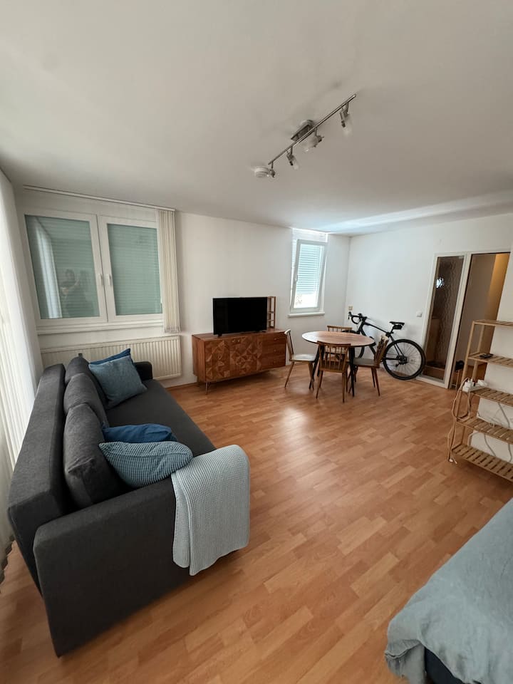 1 Zimmerwohnung In Zentrumsnähe - Vienne