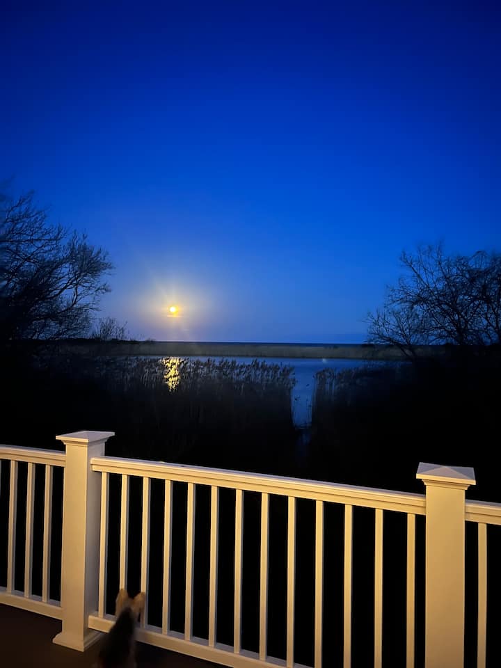 Welcome To Swan Hollow. - Cape Cod