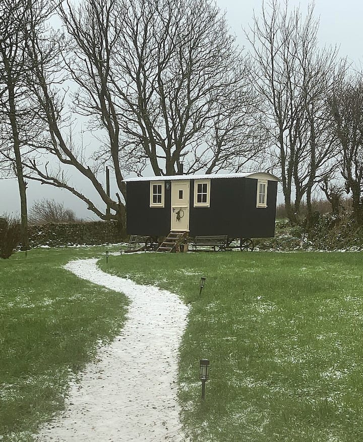 Ty Bach Glas - Trefin