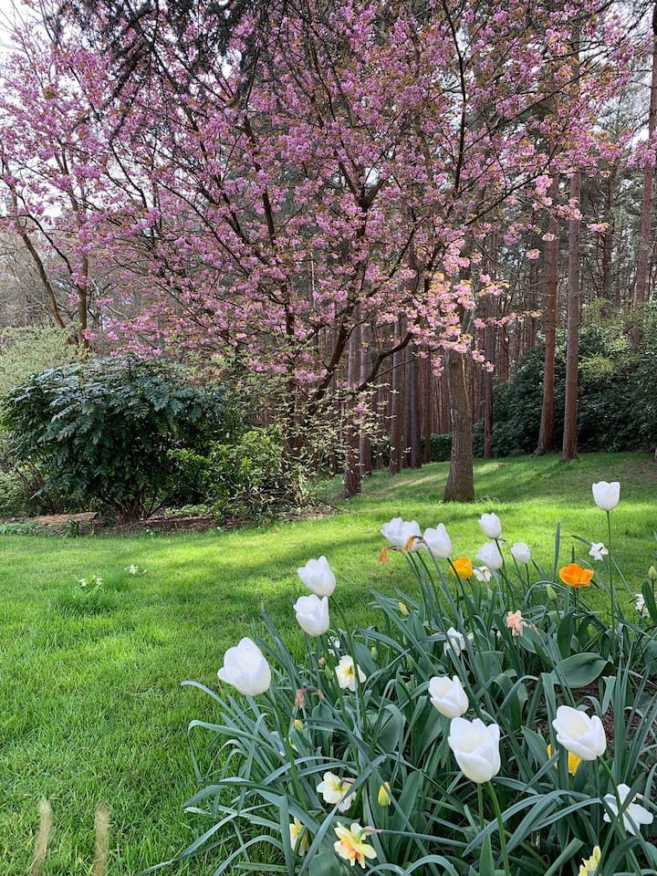 Surrey Cottage With Indoor Heated Swimming Pool - Farnham