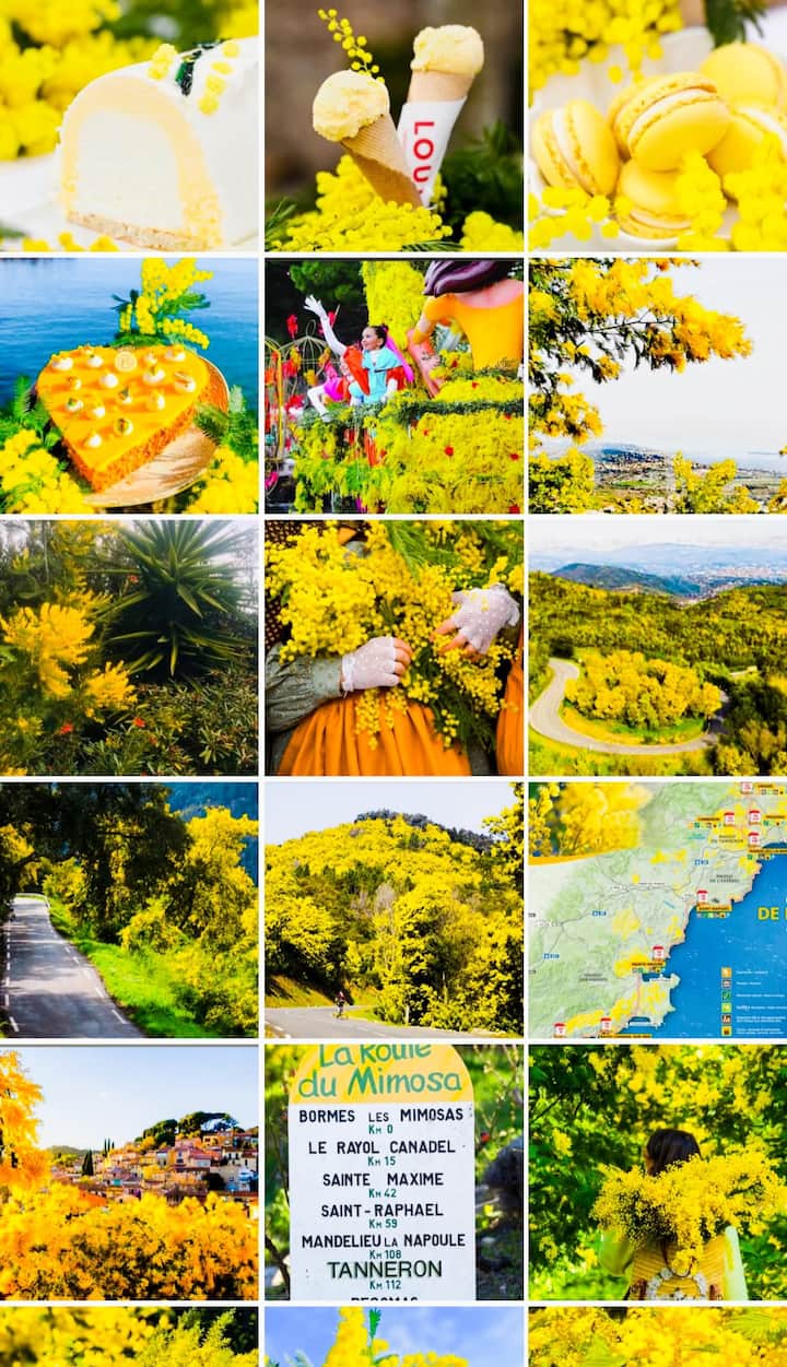 T1 3* Bord Et Vue Mer, Park., Wifi, La Faviere - Bormes-les-Mimosas