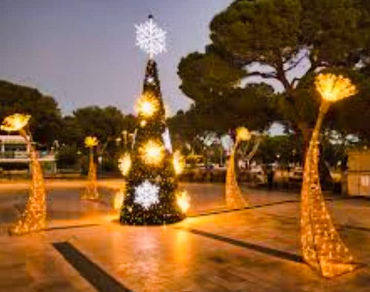 Bord Et Vue Mer, Parking, Wifi, La Faviere - Bormes-les-Mimosas