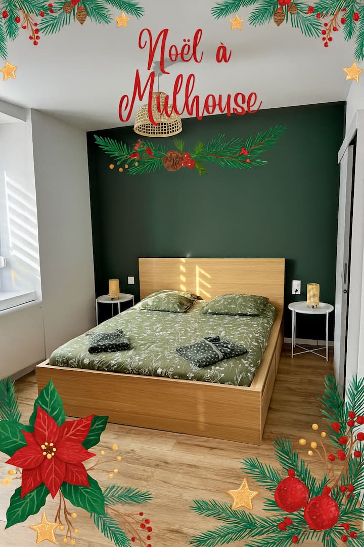 Une Touche De Vert - Proche De La Gare - Mulhouse - Mulhouse