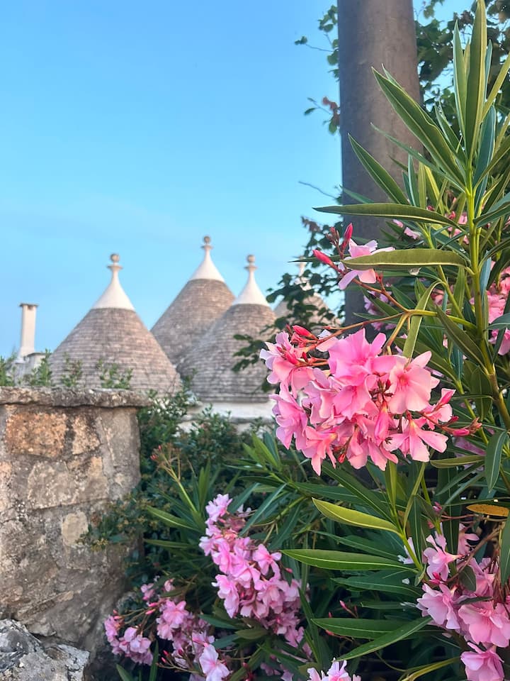 Trullo Anna - Apulia