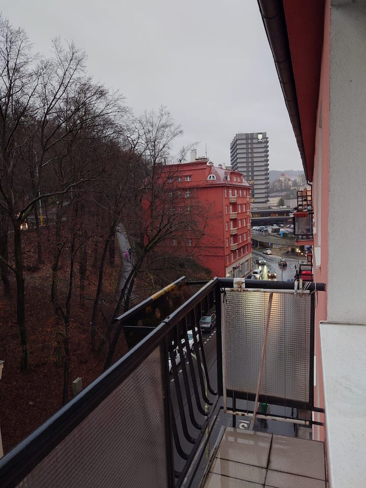 Festivalový Byt - Karlovy Vary