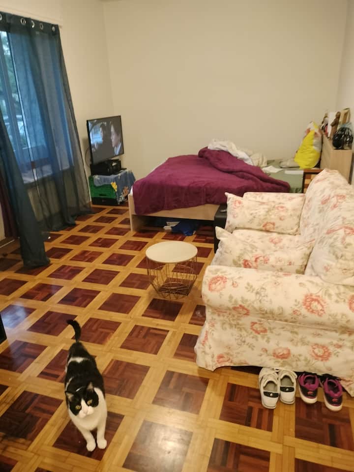 Studio Montreux 3 Minutes Du Lac - Montreux