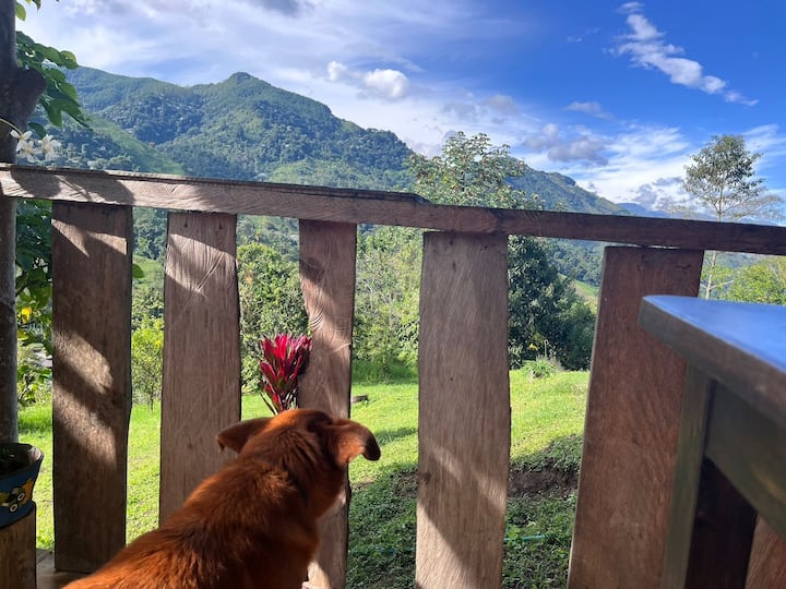 Eco Cabaña Con Hermosa Vista - Génova