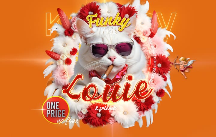 Funky Louie - Lovely Condo In City Center - Romanya