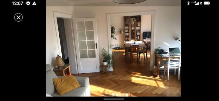 Magnifique Duplex - Strasbourg