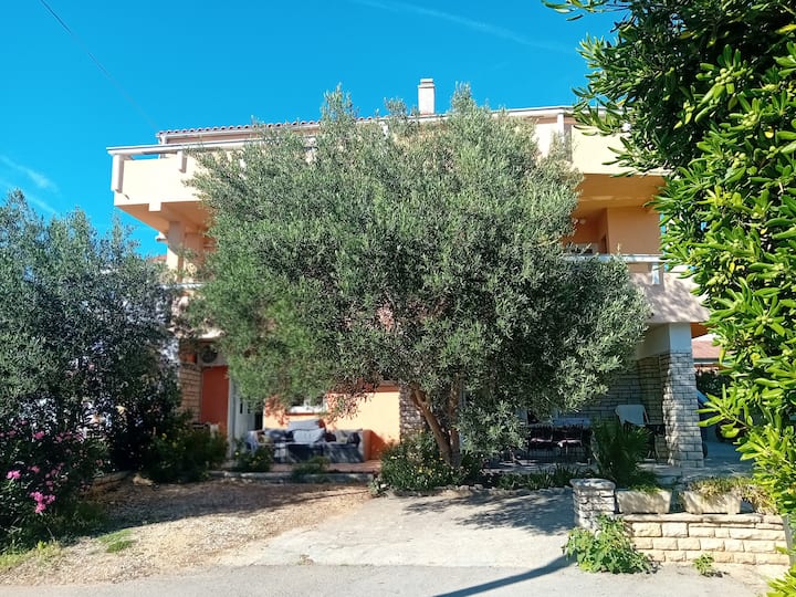 Aprtman Mare - Caska