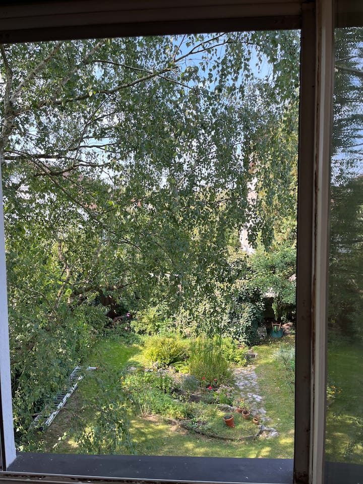 Apartment In Stadtamhof - Zentrale Inselidylle - Regensburg