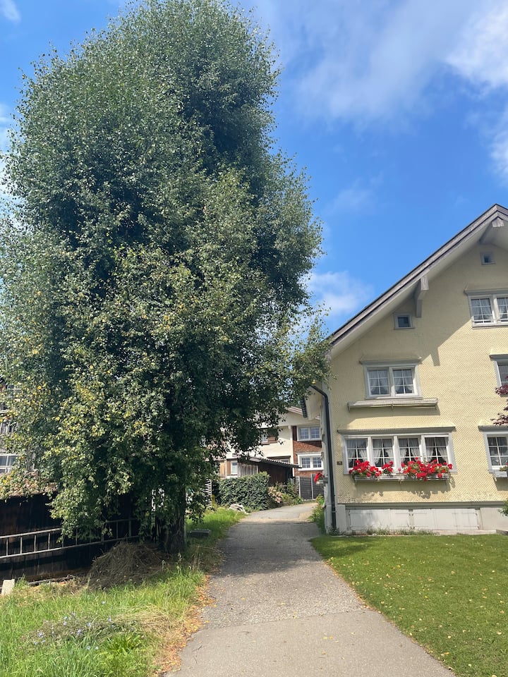 Appenzeller Hausteil Mit Garten - Sankt Anton