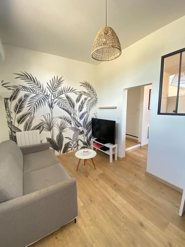 Studio Le Petit Cocon - Avignon