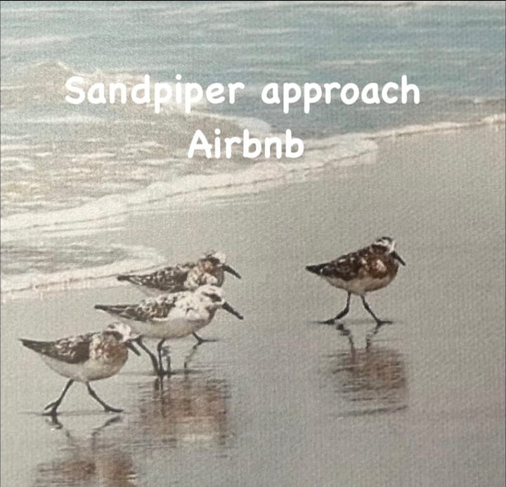 Sandpiper Approach - Long Beach, WA