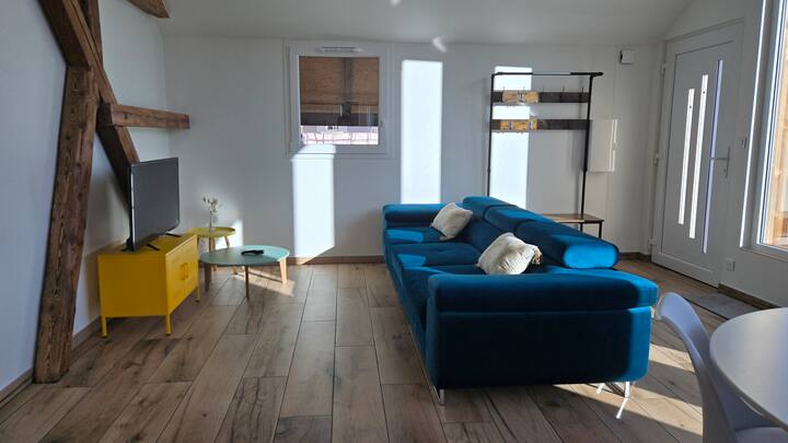 Appartement Moderne Et Cosy - Bartenheim