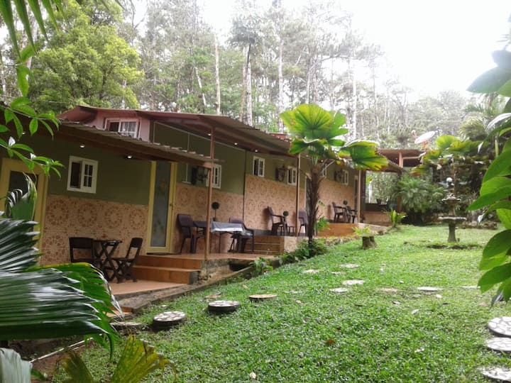 Comfy Cabin In Woods Cerro Azul Panama - Panama City